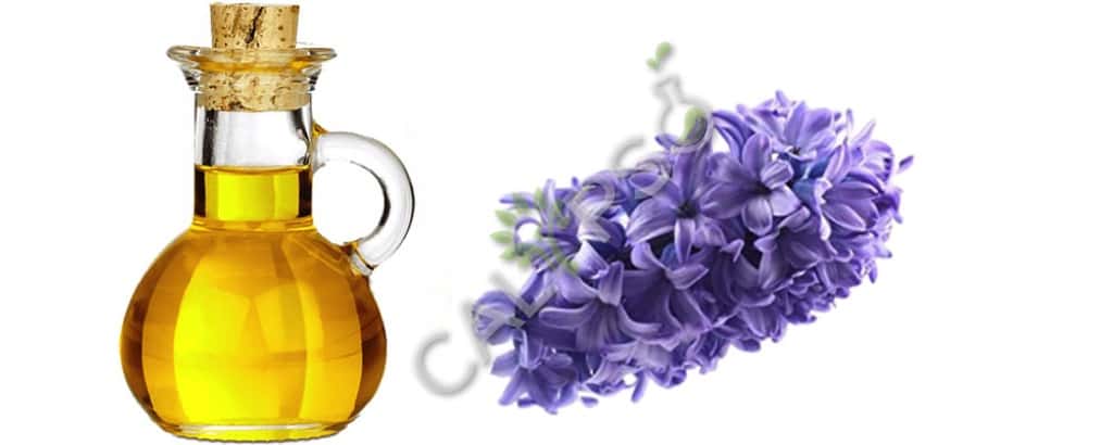 Hyacinth Absolute Oil